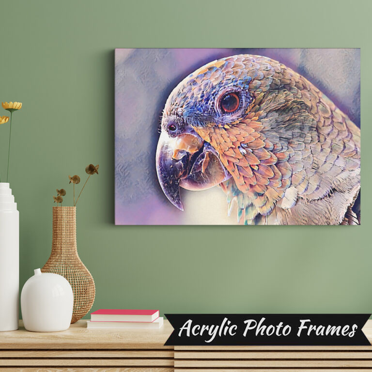 Parrot Art #2 – Acrylic Photo Frames