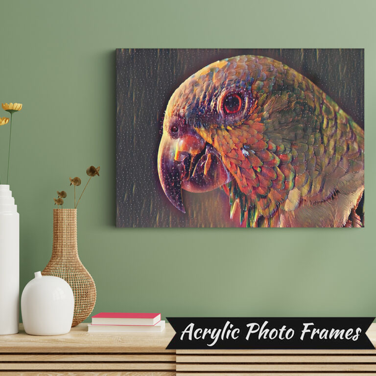 Parrot Art #4 – Acrylic Photo Frames