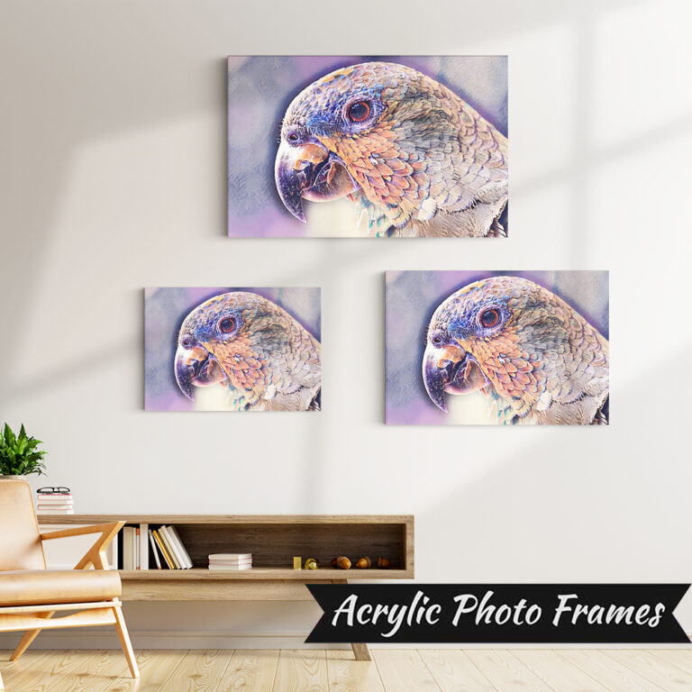 Parrot Art #2 – Acrylic Photo Frames