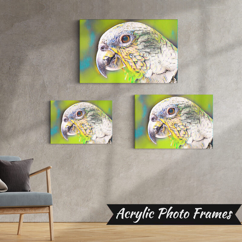 Parrot Art – Acrylic Photo Frames