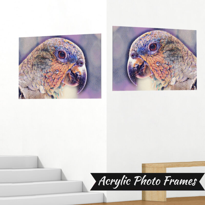 Parrot Art #2 – Acrylic Photo Frames